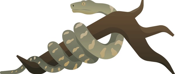 231 Amphibian Colorful Creepy Stock Vectors and Vector Art | Shutterstock