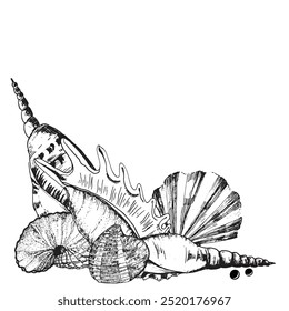 Upper Lower Decorative Borders Sea Shells Stock Vector (Royalty Free ...