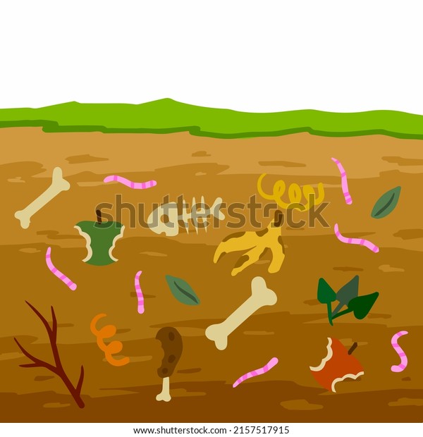 Compost Soil Layer Earth Section Worms Stock Vector (Royalty Free ...