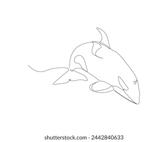 Continuous One Line Drawing Orca Whale Stock Vector (Royalty Free ...