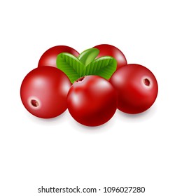Granberry Isolated Transparent Background Gradient Mesh Stock Vector ...
