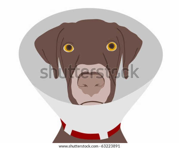 Dog Ruff Stock Vector (Royalty Free) 63223891 | Shutterstock