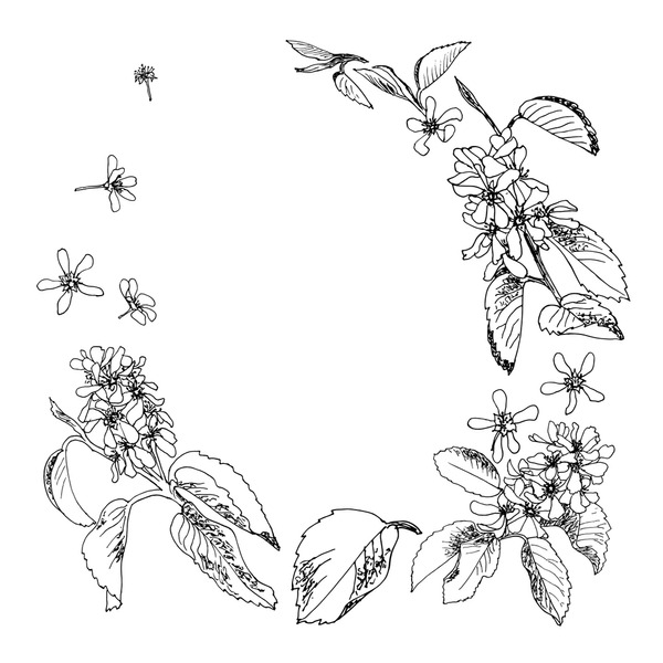 1,875 Amelanchier Flower Images, Stock Photos, 3D objects, & Vectors ...