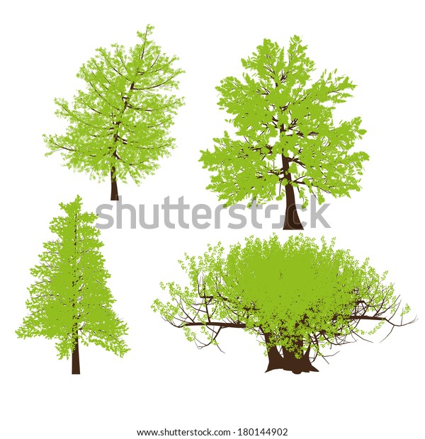 Drawing Tree Vector Llustration: เวกเตอร์สต็อก (ปลอดค่าลิขสิทธิ์ ...