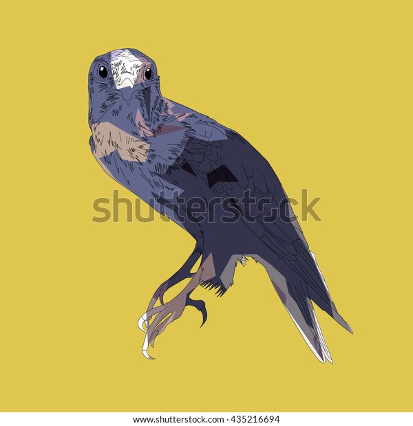 Drawing Vector Isolated Poly Predatory Bird Stock Vector (Royalty Free ...