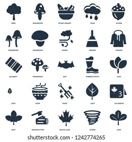 Elements Such Leaf Storm Maple Leaf Stock Vector (Royalty Free ...