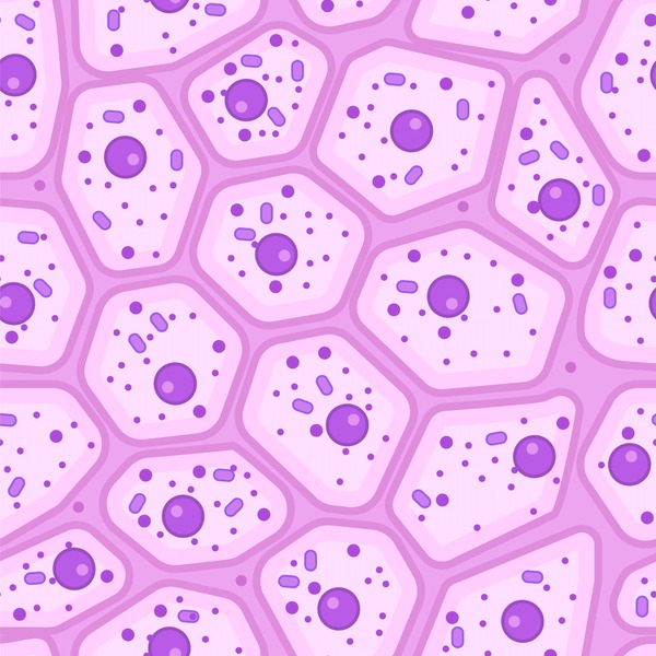 361 Basal Pattern Royalty-Free Images, Stock Photos & Pictures ...