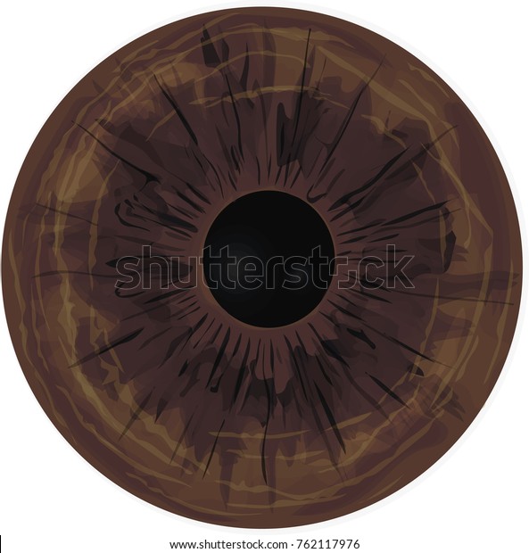 Eye Iris Realistic Vector Eye Iris Stock Vector (Royalty Free ...