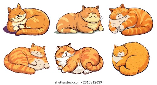 10+ Thousand Fat Orange Cats Royalty-Free Images, Stock Photos ...