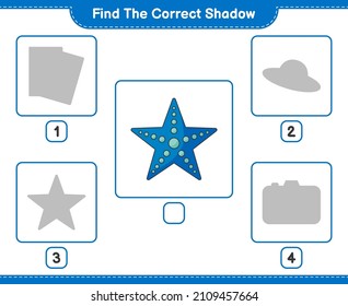 Find Correct Shadow Find Match Correct Stock Vector (Royalty Free ...