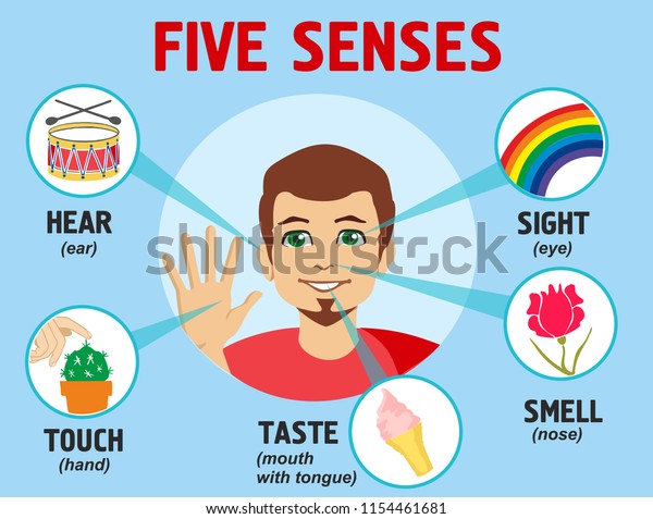Five Senses Illustrations Design Name Sight Stock Vector (Royalty Free ...