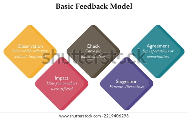 Five Steps Basic Feedback Model Description Stock Vector (Royalty Free ...