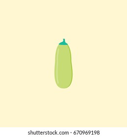 Flat Icon Squash Element Vector Illustration Stock Vector (Royalty Free ...