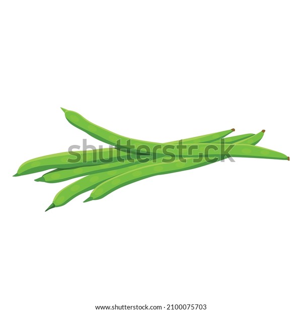 Pearl Haricot Bean: Over 11 Royalty-Free Licensable Stock Vectors ...