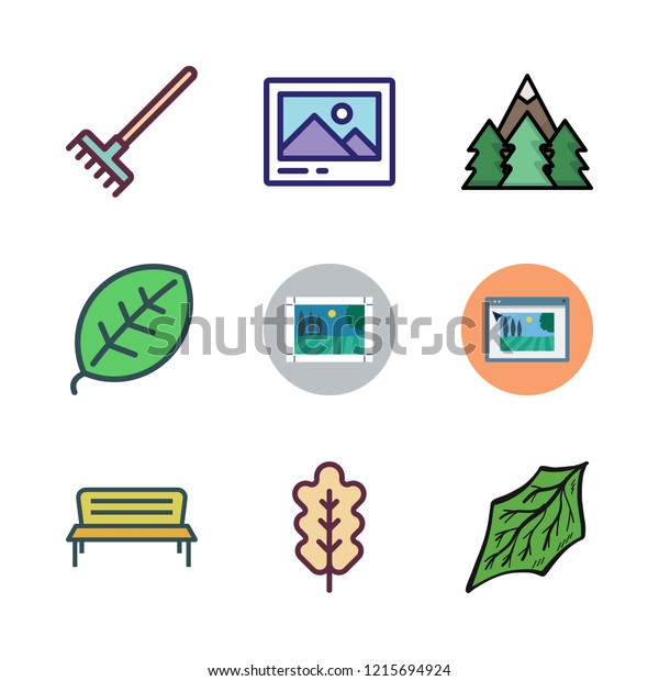 Foliage Icon Set Vector Set About Stock Vector (Royalty Free ...