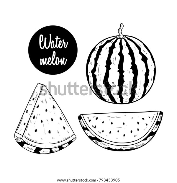 Watermelon Slice Line Drawing: Over 3,438 Royalty-Free Licensable Stock ...