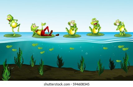 5+ Thousand Frog On Lily Pad Royalty-Free Images, Stock Photos ...