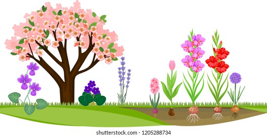 50 Varieties Of Root System Stock Vectors, Images & Vector Art | Shutterstock