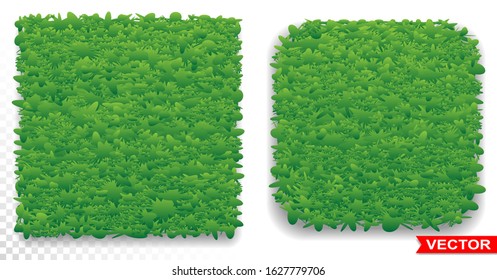Green Grass Square Texture Background Nature Stock Vector (Royalty Free ...