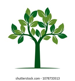 Green Spring Tree Vector Illustration Plants Stock Vector (Royalty Free ...