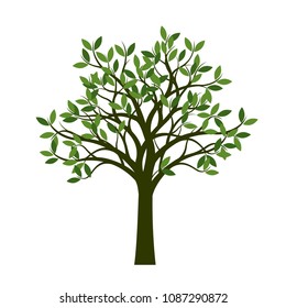 Green Spring Tree Vector Illustration Plant Stock Vector (Royalty Free ...
