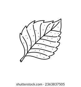 Hand Drawn Doodle Birch Leaf Outline Stock Vector (Royalty Free ...