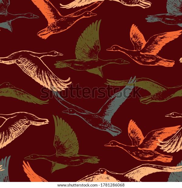 Migration Duck: Over 1,655 Royalty-Free Licensable Stock Illustrations ...