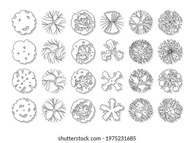 Hand Drawn Top View Tree Isolated Stock Vector (Royalty Free ...