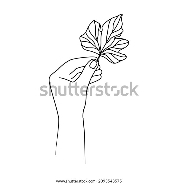 Hand Leaflet Line Drawing Vector Illustration Stock Vector (Royalty ...