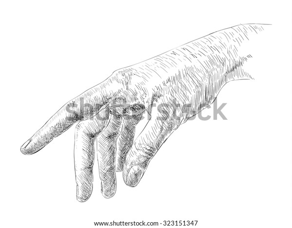 Hand Vector Drawing Stock Vector (Royalty Free) 323151347 | Shutterstock