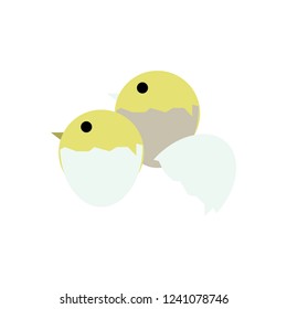 Hatch Chicken Vector Icon Stock Vector (Royalty Free) 1241078746 ...
