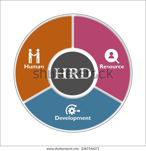 Hrd Human Resources Development Acronym Infographic Stock Vector ...