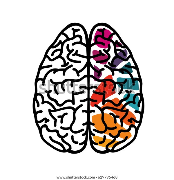 Human Brain Intelligence Stock Vector (Royalty Free) 629795468 ...