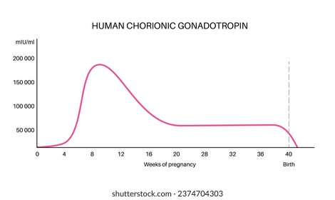 Human Chorionic Gonadotropin Level During Pregnancy Stock Vector ...