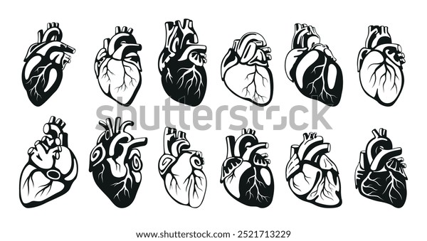 Human Heart Different Shape Black Monochrome Stock Vector (Royalty Free ...