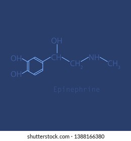 Human Hormone Epinephrine Thin Flat Line Stock Vector (Royalty Free ...