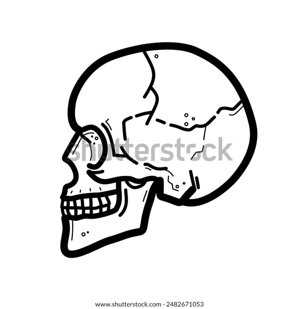 Human Skull Side View Vector Icon Stock Vector (Royalty Free ...
