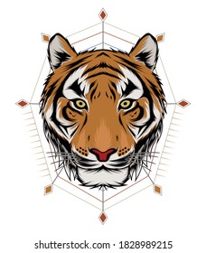239 Tiger Head Digital Painting Isolated Images, Stock Photos & Vectors ...