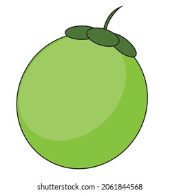 Illustrator Vector Object Coconut Fruit: เวกเตอร์สต็อก (ปลอดค่า ...
