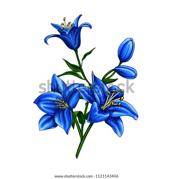 2,775 Blue Lilium Images, Stock Photos & Vectors | Shutterstock