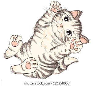 Kitty Vector Hand Drawing Stock Vector (Royalty Free) 126258050 ...