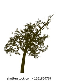 Large Pretty Vector Tree Leaves Stock Vector (Royalty Free) 1261954804 ...