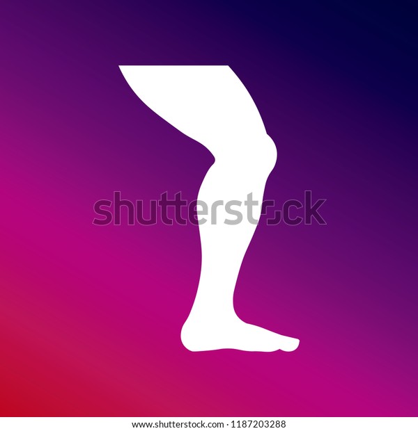 Leg Icon Vector Illustrator Creative Design Stock Vector (Royalty Free ...