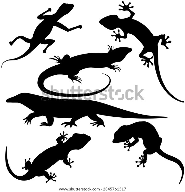 20,649 Silueta Lagartija Stock Vectors and Vector Art | Shutterstock