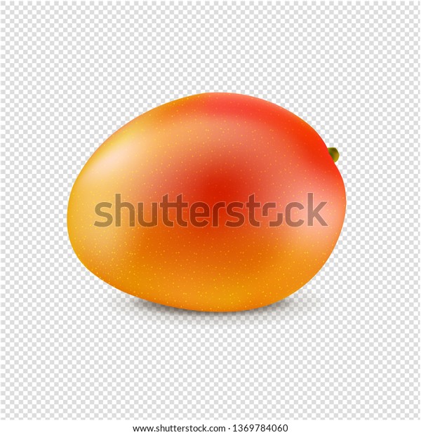 Mango Isolated Transparent Background Gradient Mesh: vector de stock ...