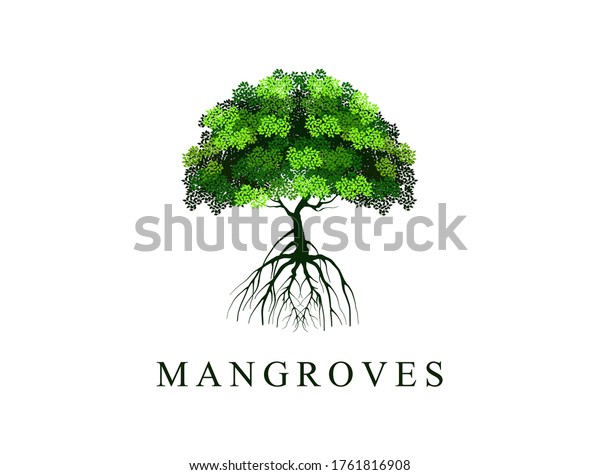 Mangrove Tree Vector Isolated On White Stock Vector (Royalty Free ...