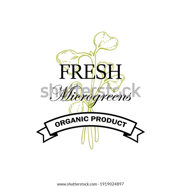 Microgreens Logo Hand Drawn Elements Vector Stock Vector (Royalty Free ...