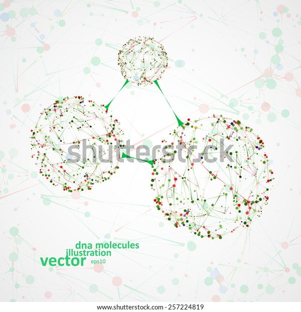 Molecular Structure Network Connection Abstract Vector Stock Vector Royalty Free 257224819