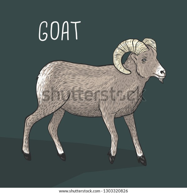 Mountain Goat Vector Graphics Stock Vector (Royalty Free) 1303320826 ...