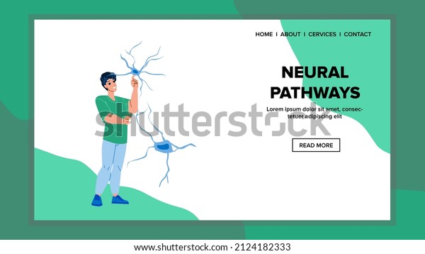 Neural Pathways Brain Nervous System Human Stock Vector (Royalty Free ...
